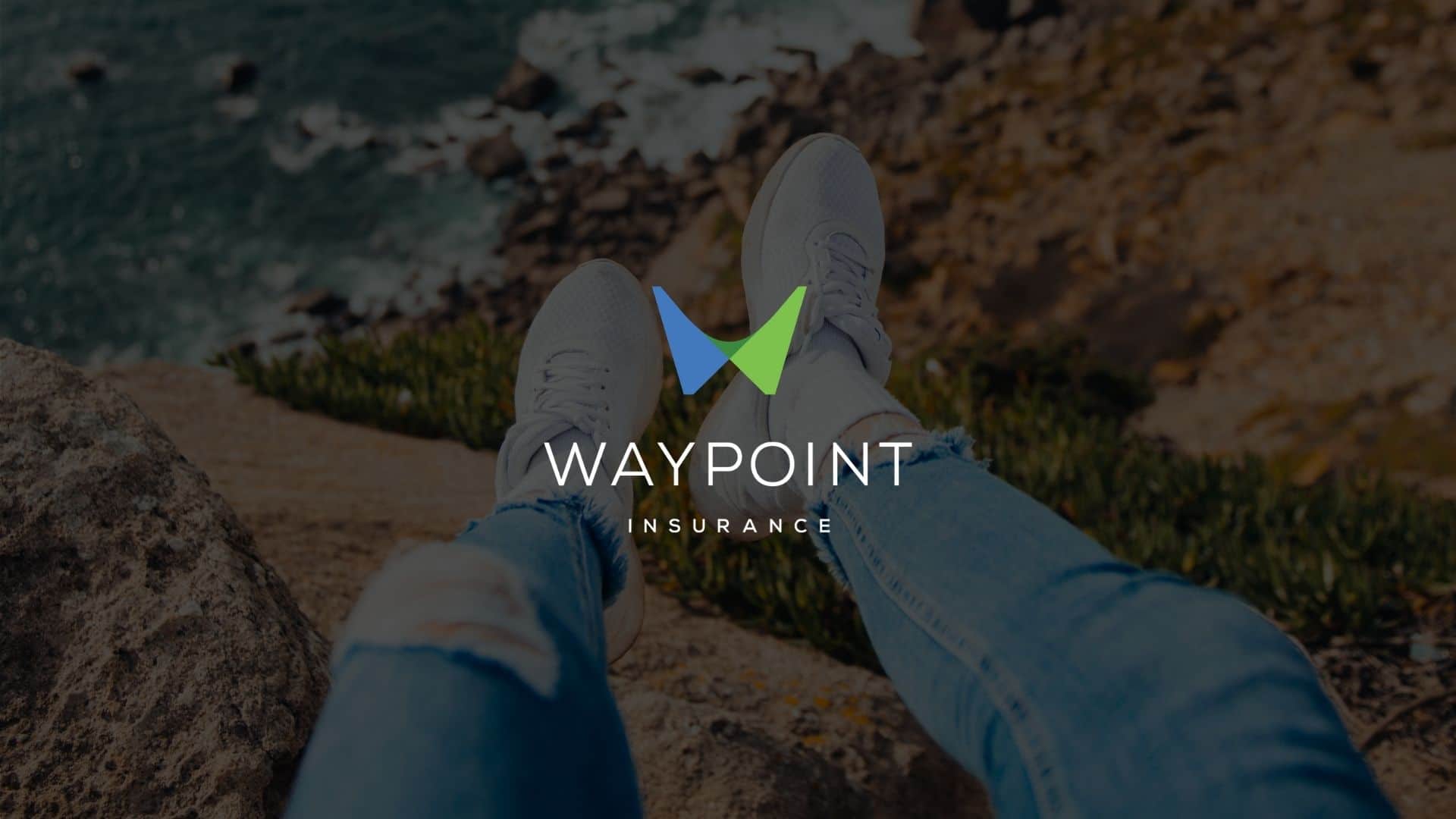 Conversions Soar At Waypoint Insurance | Tulip Media Group