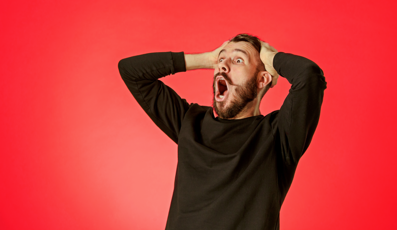 Marketing Horror Stories | Tulip Media Group